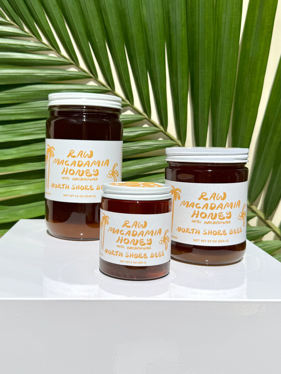 Raw Macadamia Honey by North Shore Bees – Nā Mea Hawaiʻi