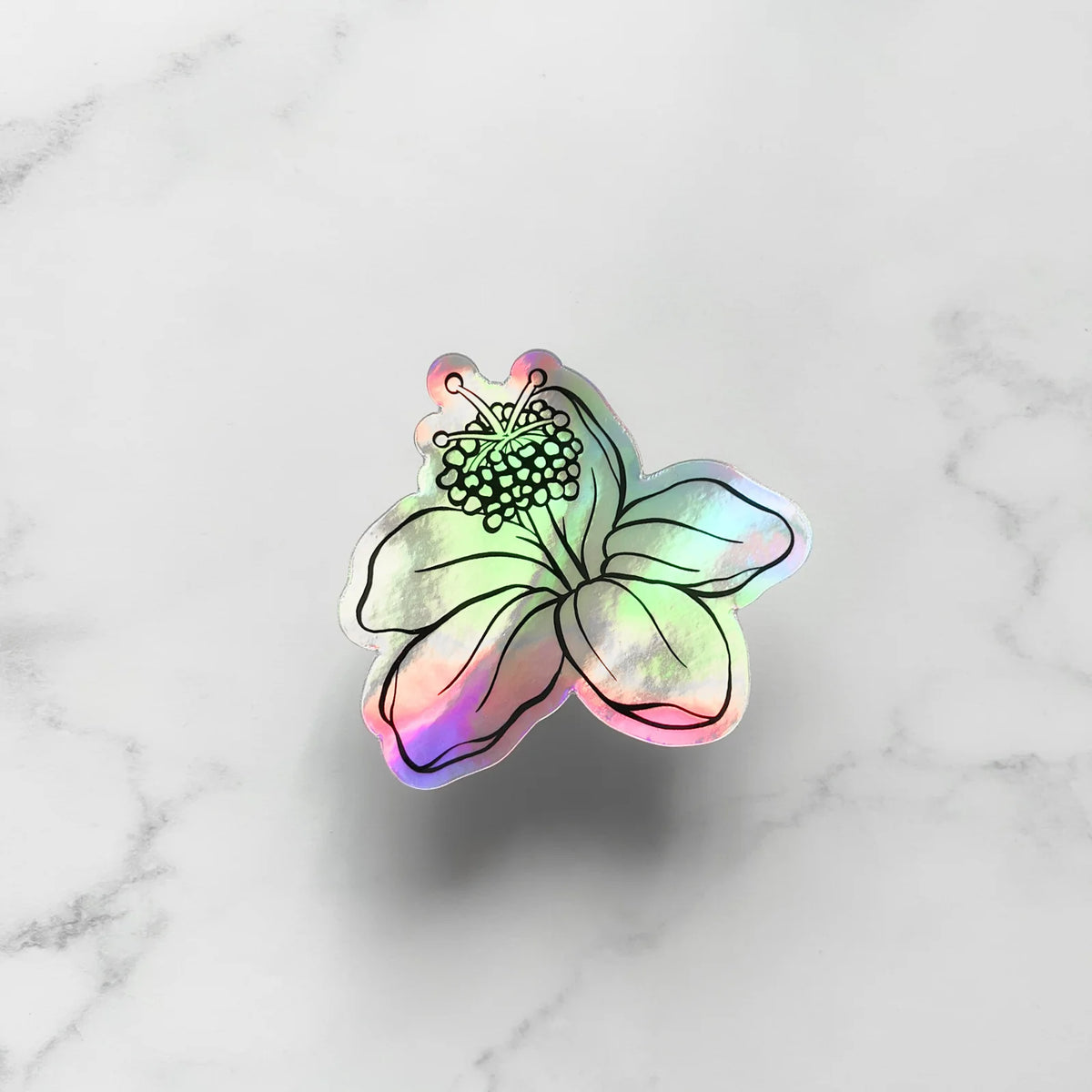 Koki'o Holographic Vinyl Sticker – Nā Mea Hawaiʻi