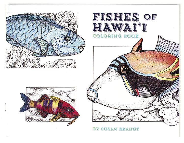 coloring book fish images
