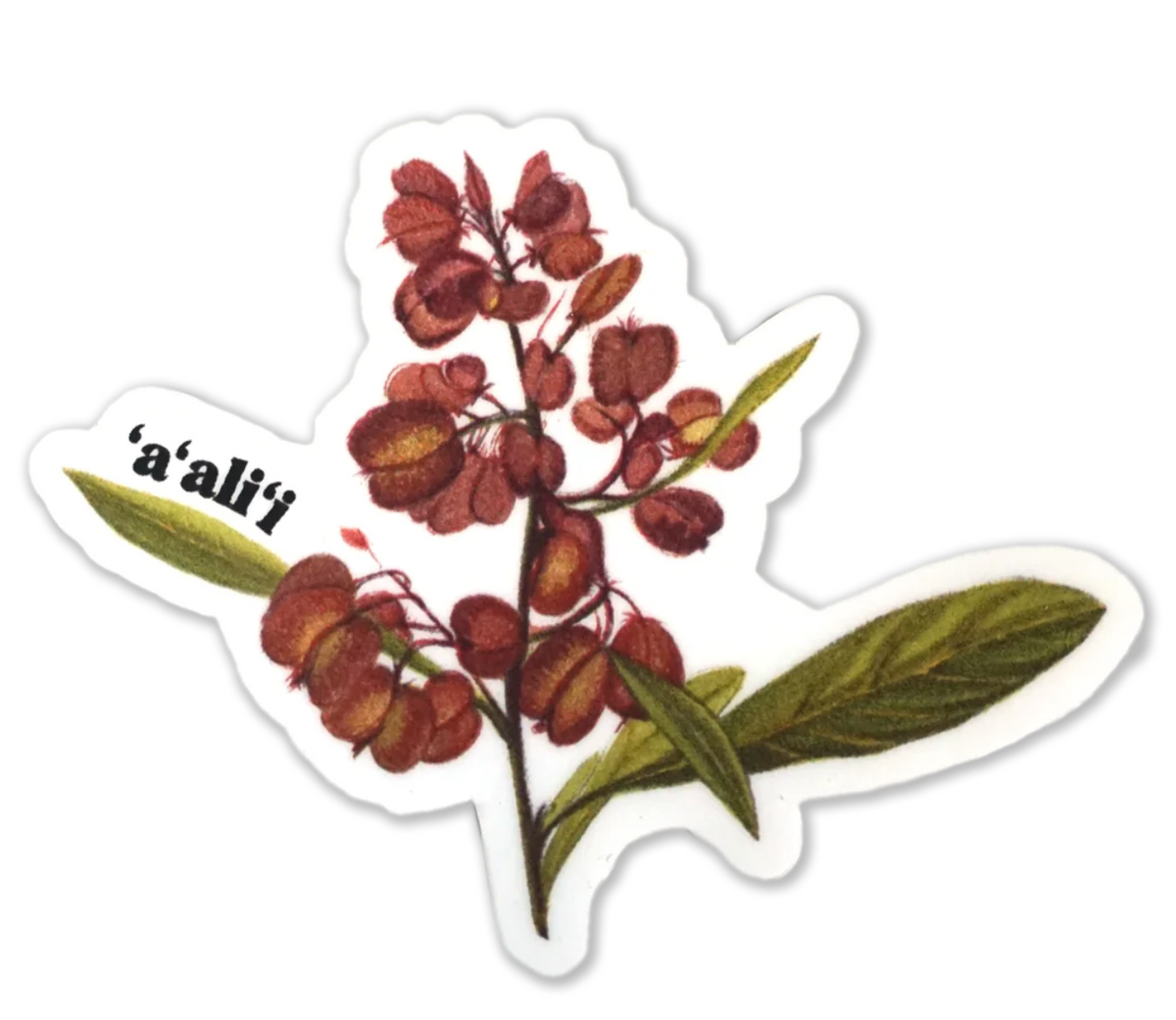 ʻAʻaliʻi Sticker – Nā Mea Hawaiʻi
