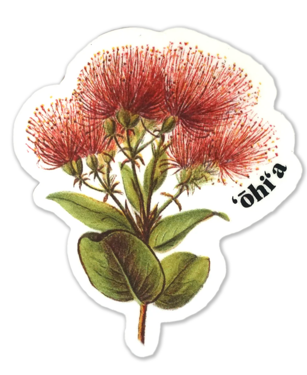 ʻŌhiʻa Sticker – Nā Mea Hawaiʻi