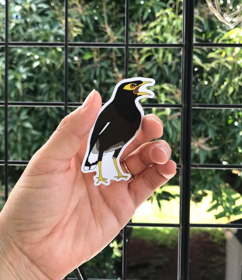 Myna Bird Sticker – Nā Mea Hawaiʻi